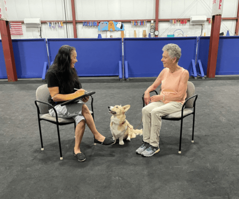 Private Training - MasterPeace Dog Training