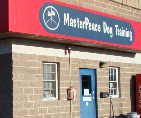 About - MasterPeace Dog Training