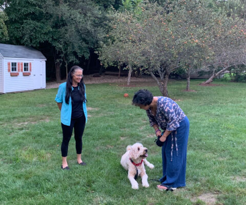Private Training - MasterPeace Dog Training