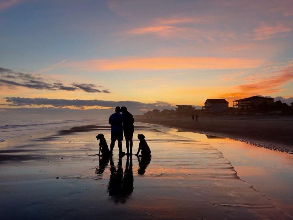 Service Dog Classes - MasterPeace Dog Training